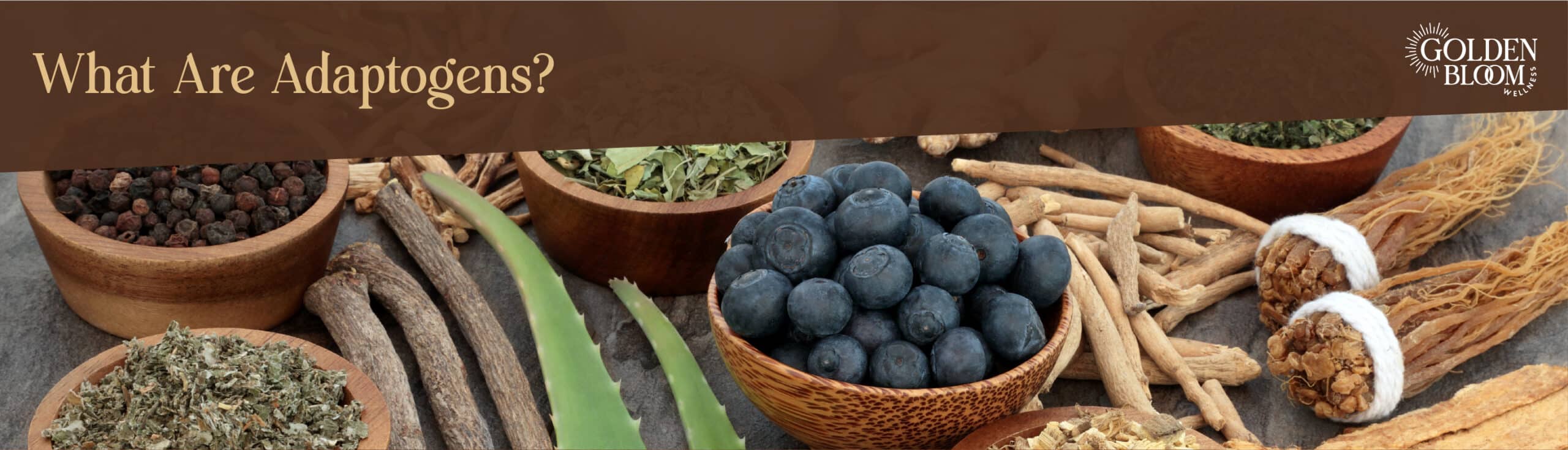 What Are Adaptogens? [Adaptogenic List] – Golden Bloom Wellness